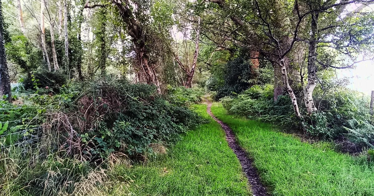 HEDGE END AND BOORLEY CIRCULAR - Ramblers